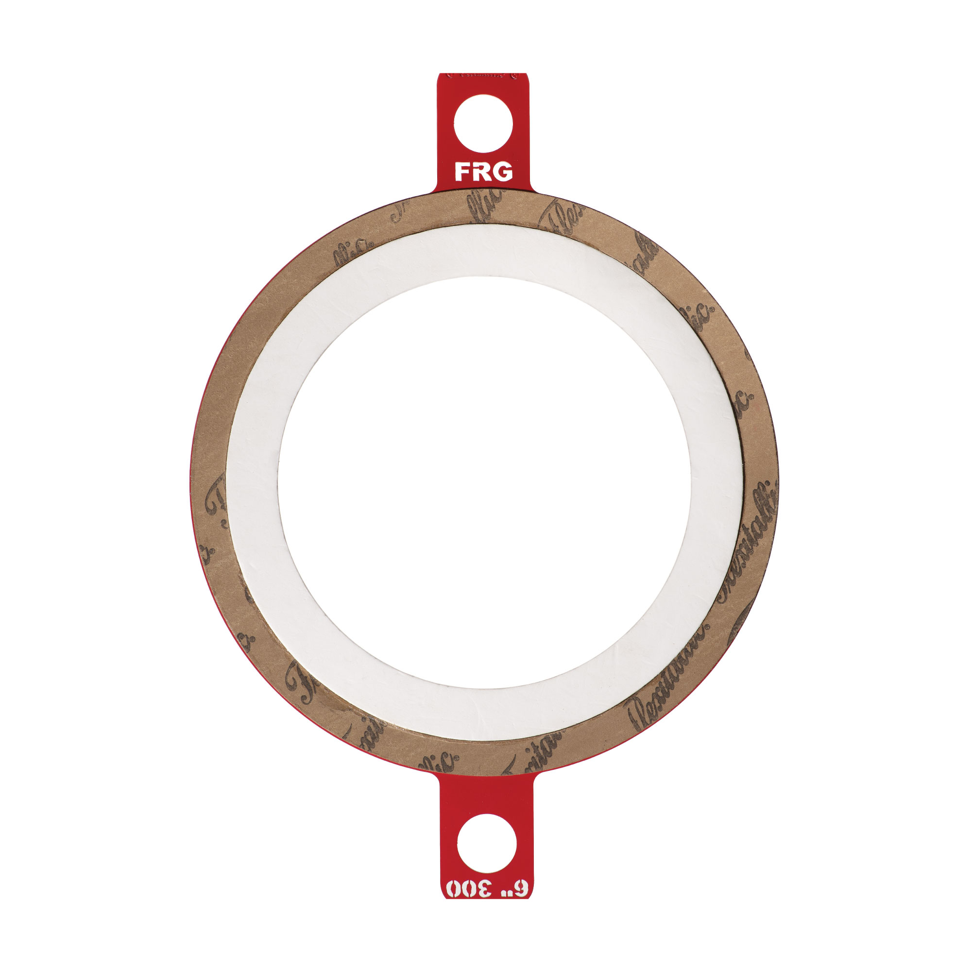 产品展示 – Page 2 – Flexitallic China