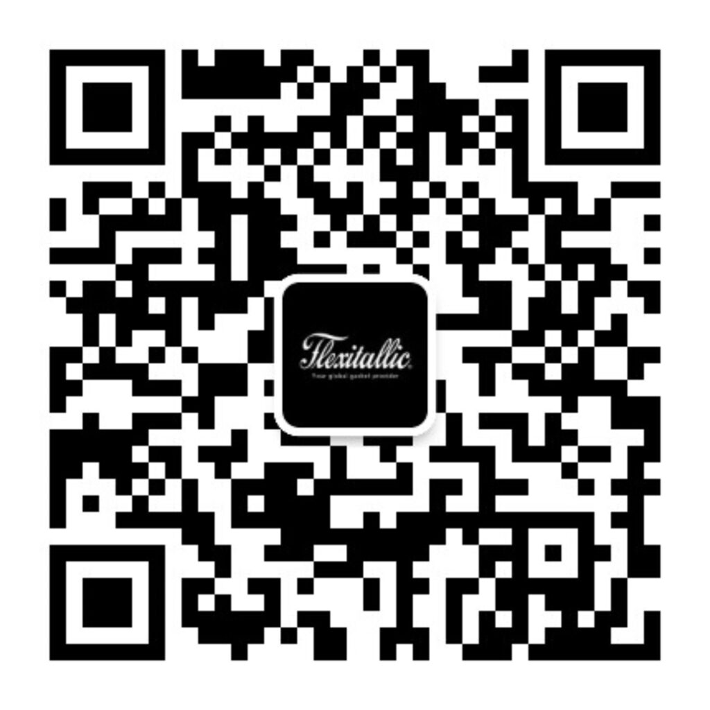 产品展示 - Flexitallic China