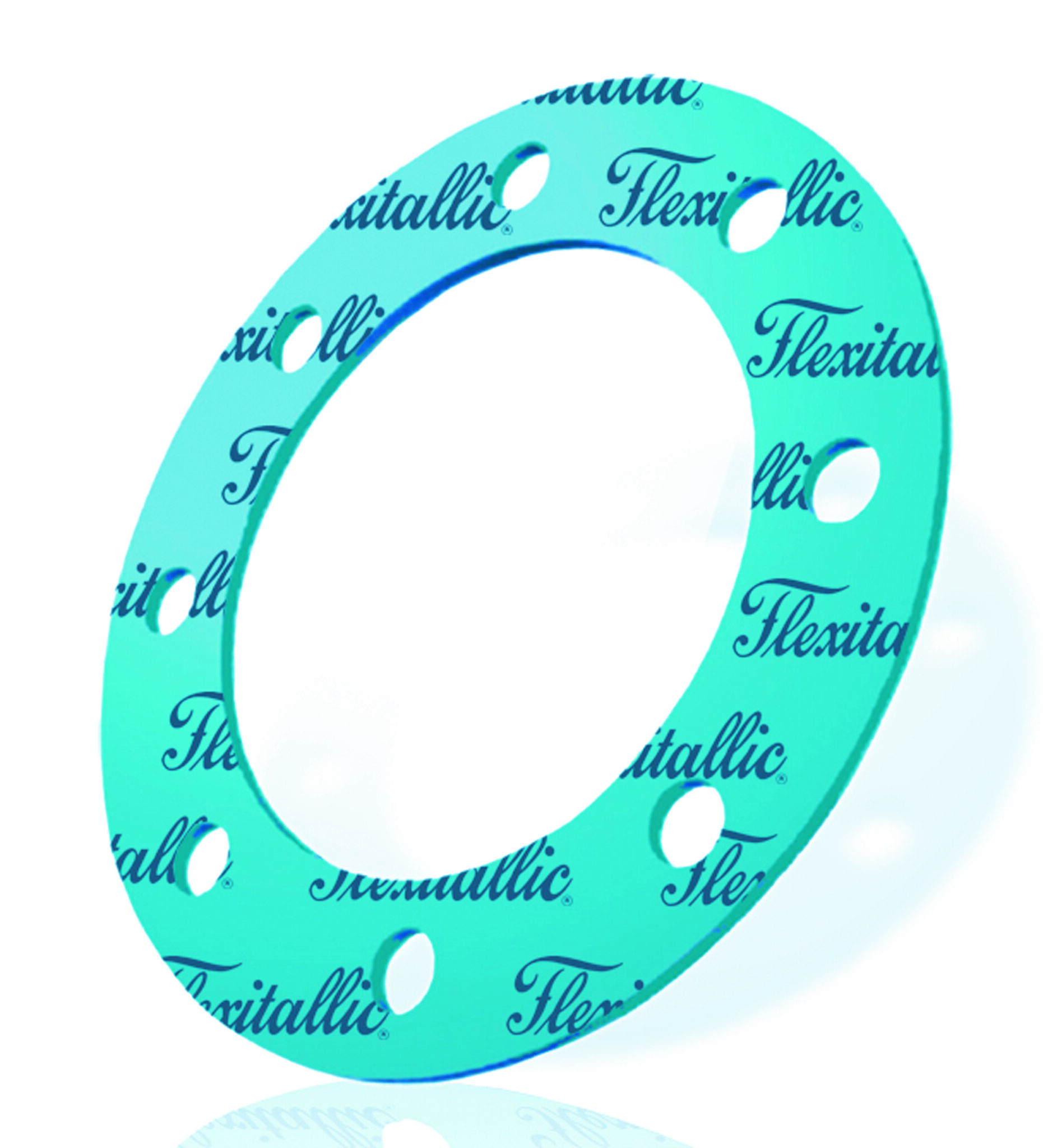 产品展示 – Page 3 – Flexitallic China